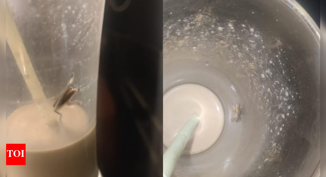 Cockroach found in cold coffee at Malad cafe in Mumbai, FIR registered ...
