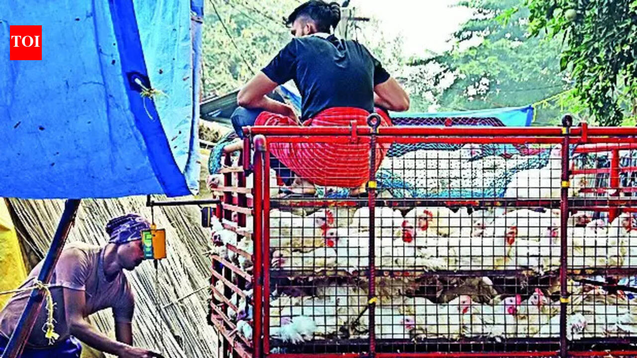 Bhubaneswar BMC Advisory on Bird Flu in Chicken Traders | Bhubaneswar ...