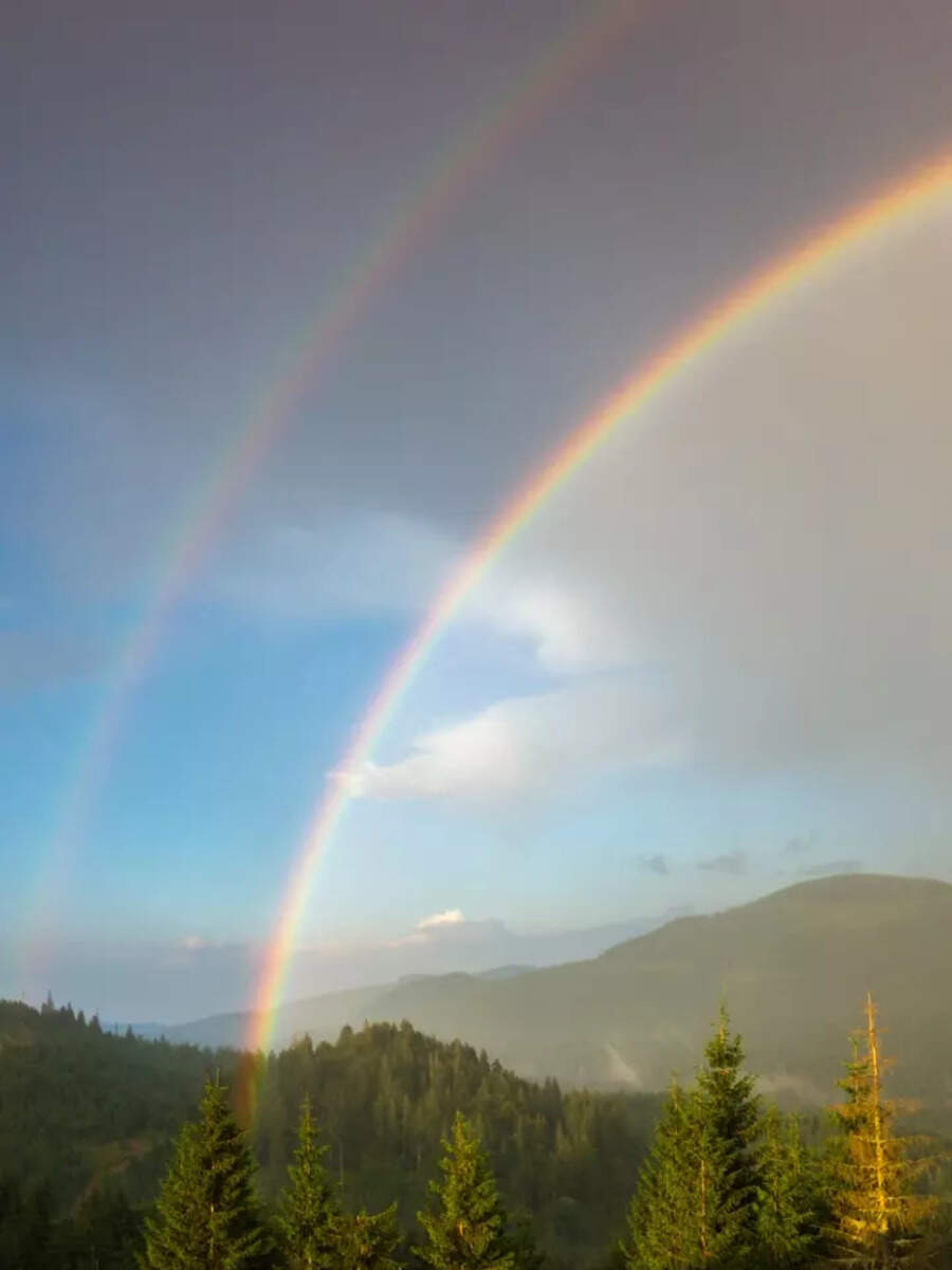 5 Positive Quotes That Bring Out Optimism About the Future | Times Now