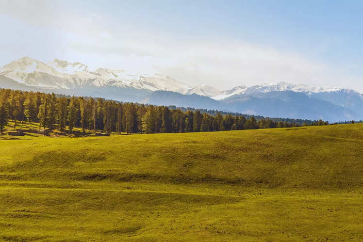 7 most beautiful meadows in Kashmir you must visit before the snow ...