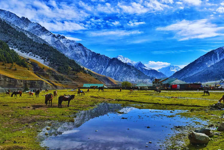 7 most beautiful meadows in Kashmir you must visit before the snow ...