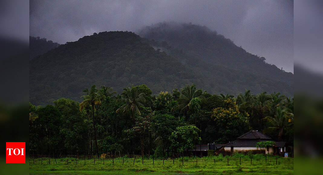 Panel formed to study eco zones in Ghats | Goa News - Times of India