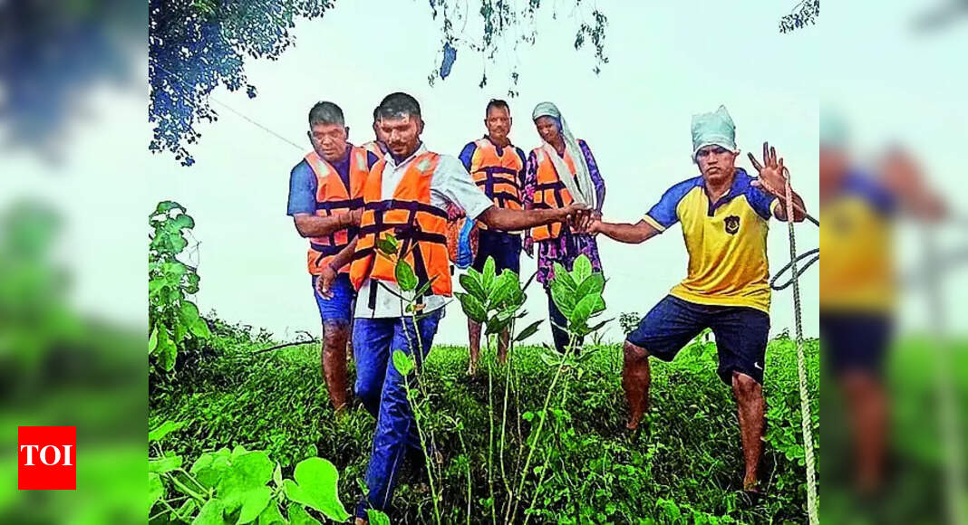 Rainfall: 1,508 people shifted from villages in Mangrol due to flooding ...