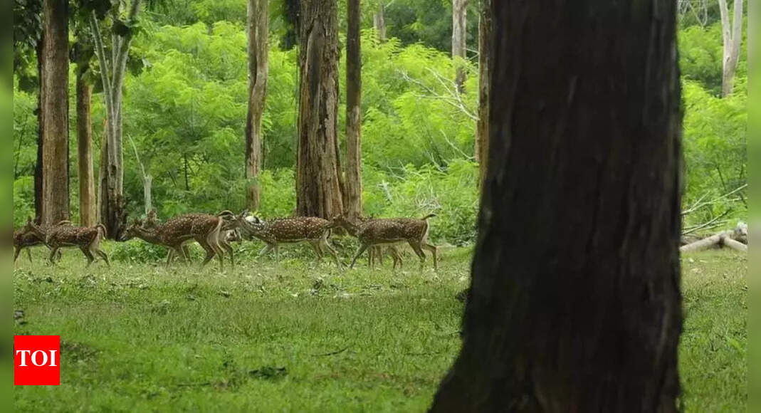 Ecologically Fragile Lands: Kerala lost 1,229 hectares ecologically ...