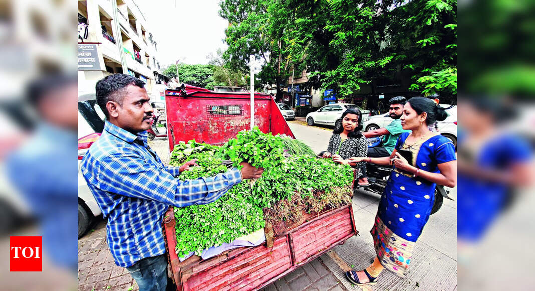 Vegetables: Prices of leafy vegetables surge, coriander bunch costs 100 & above | Pune News ...