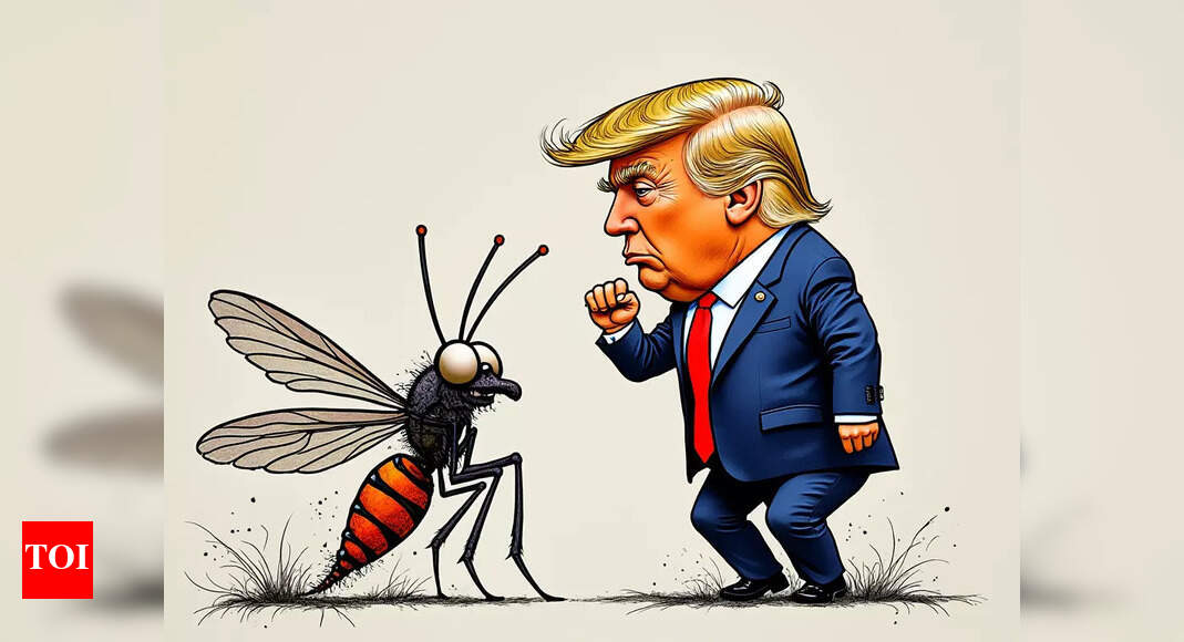 Watch: Hilarious moment Donald Trump was attacked by a mosquito | World ...