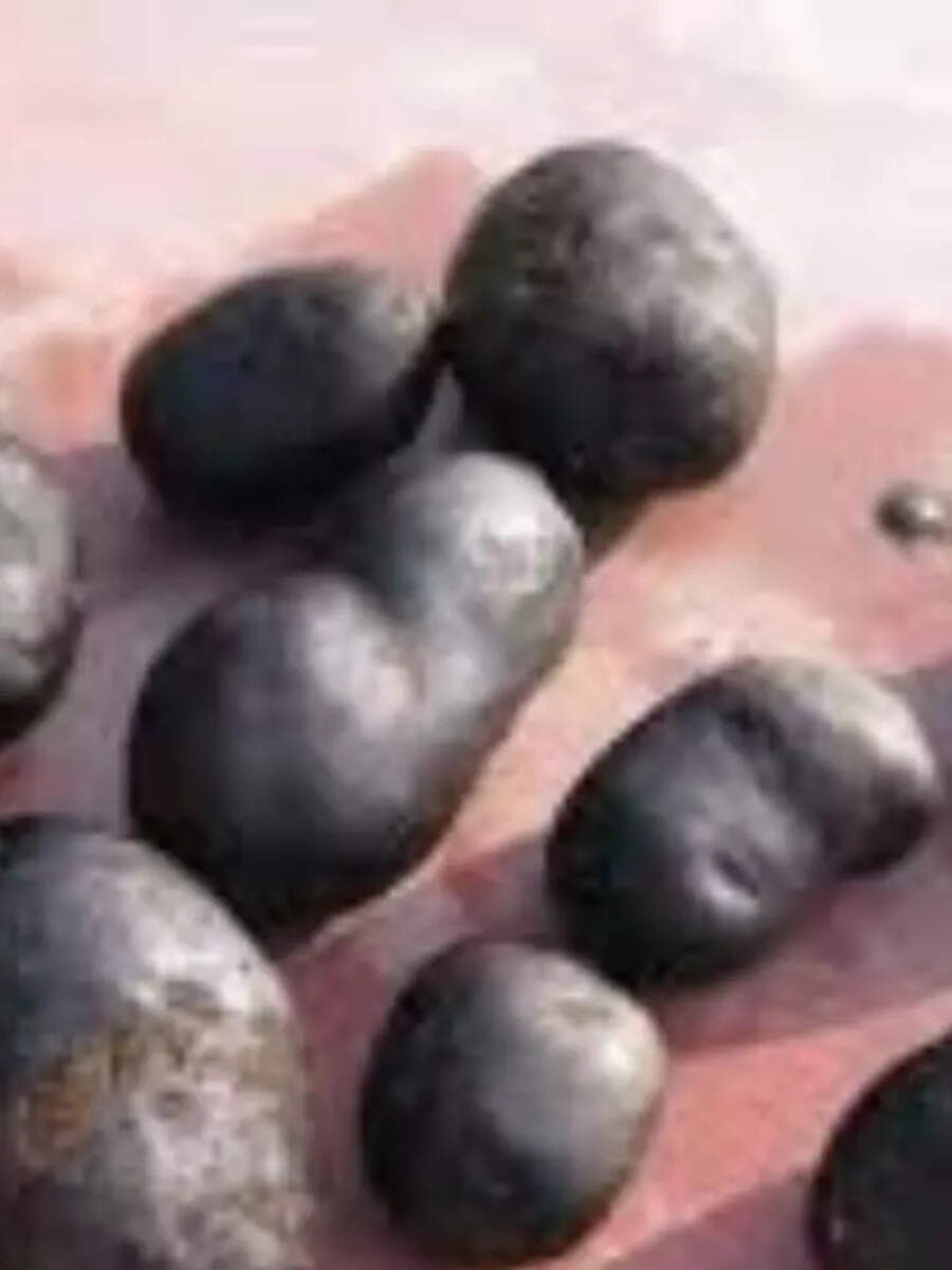 Black Potato Farming: तीन से चार गुना ज्यादा कमाई, जानें फसल उगाने का ...