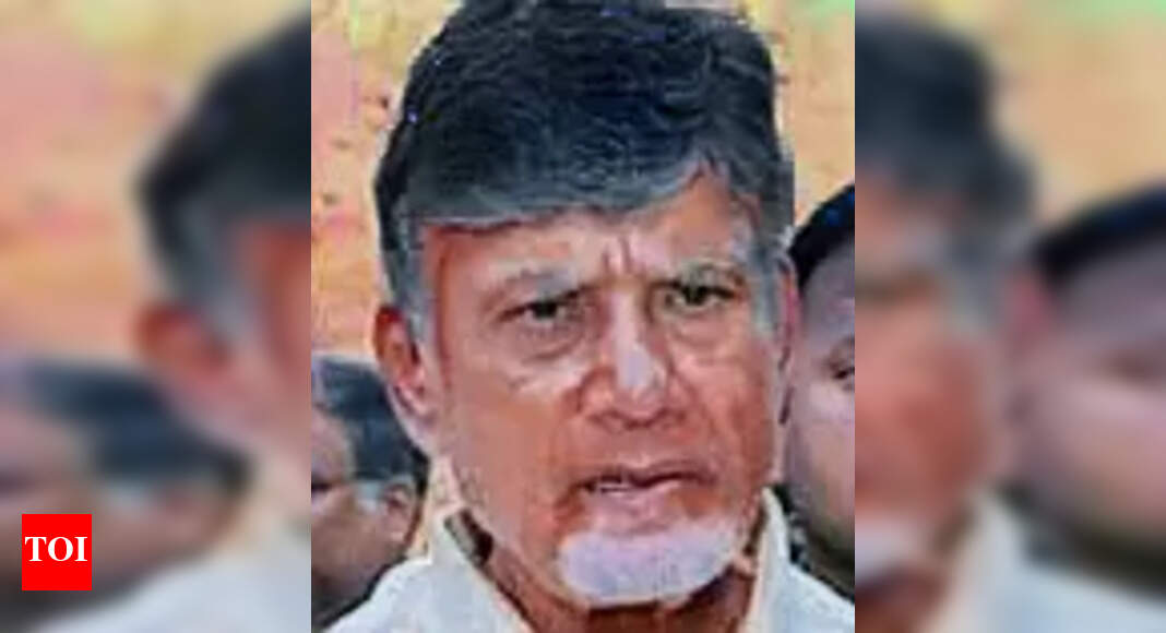 Budameru Bund: Budameru bund breaches fixed by CM Naidu | Vijayawada ...