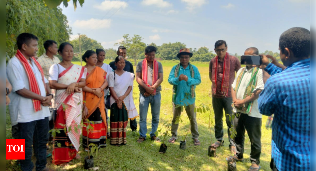 Rabhas launch Hollong tree plantation to save vultures | Guwahati News ...