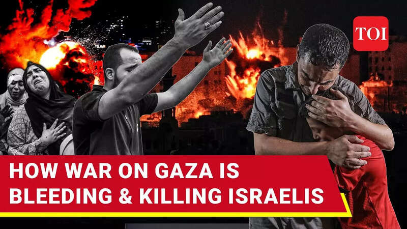 Gaza War In Numbers: 40,000+ Palestinians, 1600+ Israelis Killed ...