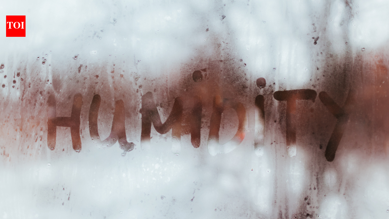Humidity Effects: This is what humidity does to the body | - The Times ...