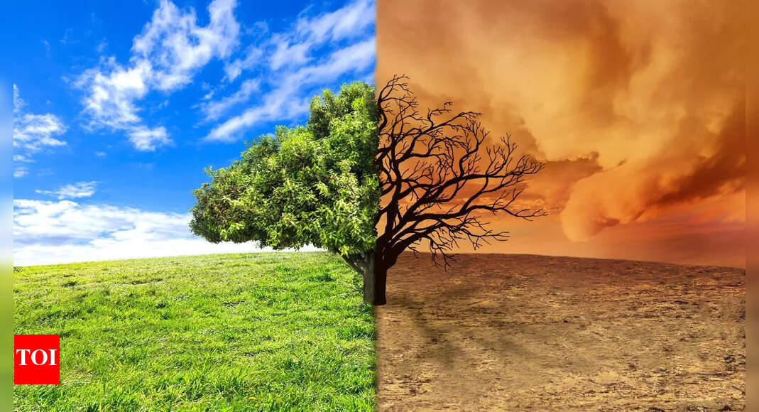 The Individual In A Tumultuous World - Times of India