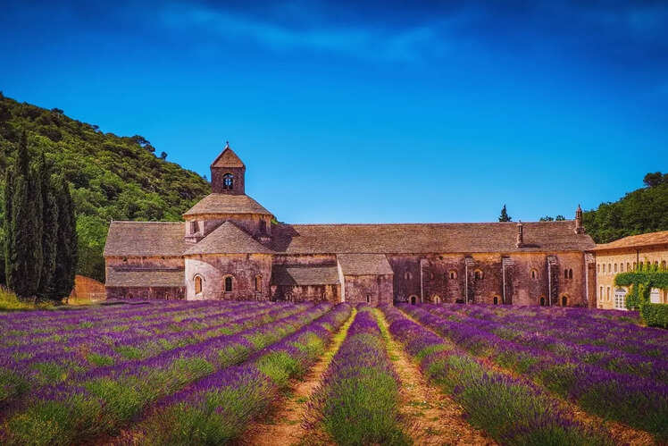 Countries known for their dreamy countryside locations | Times of India ...