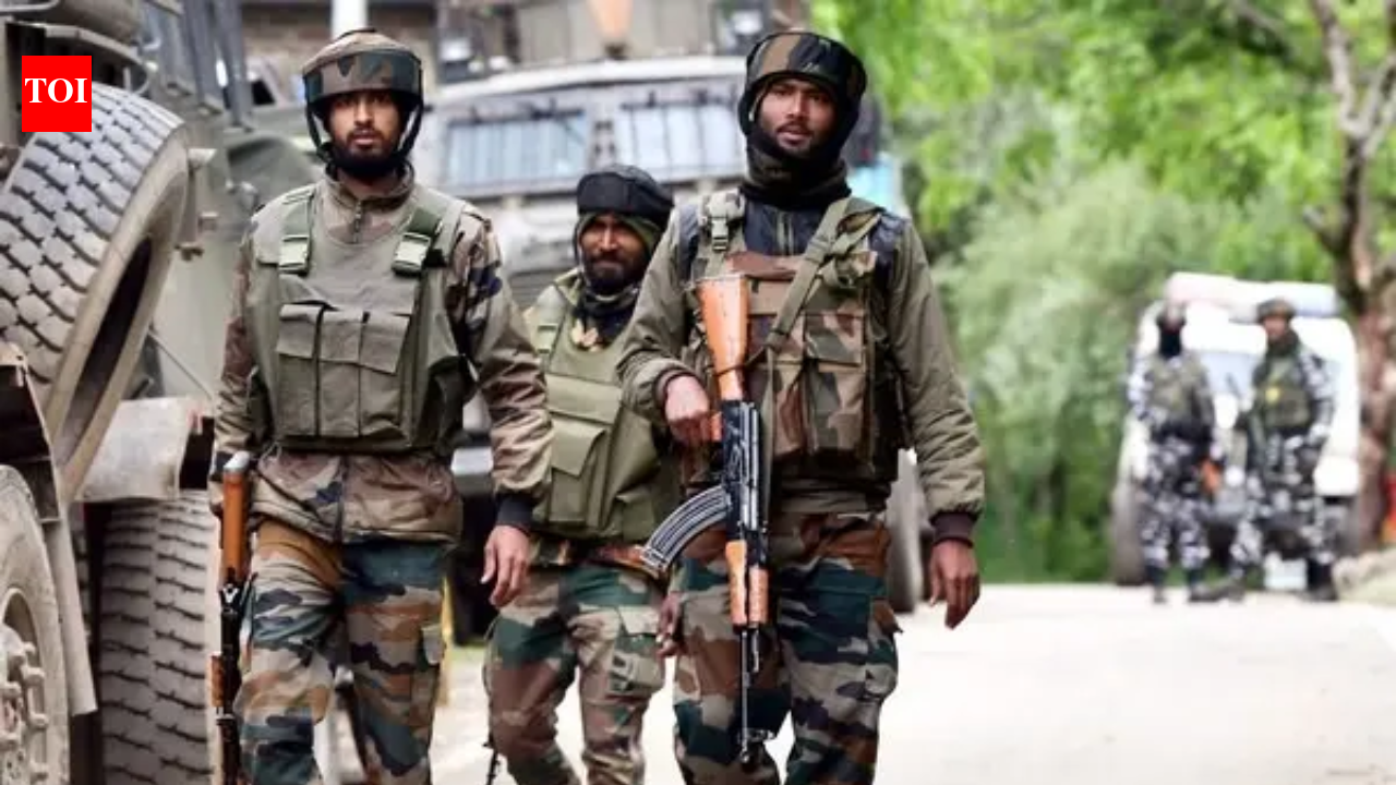 2 Pak terrorists killed in J& AKs, M4 found | Jammu News - The Times of ...
