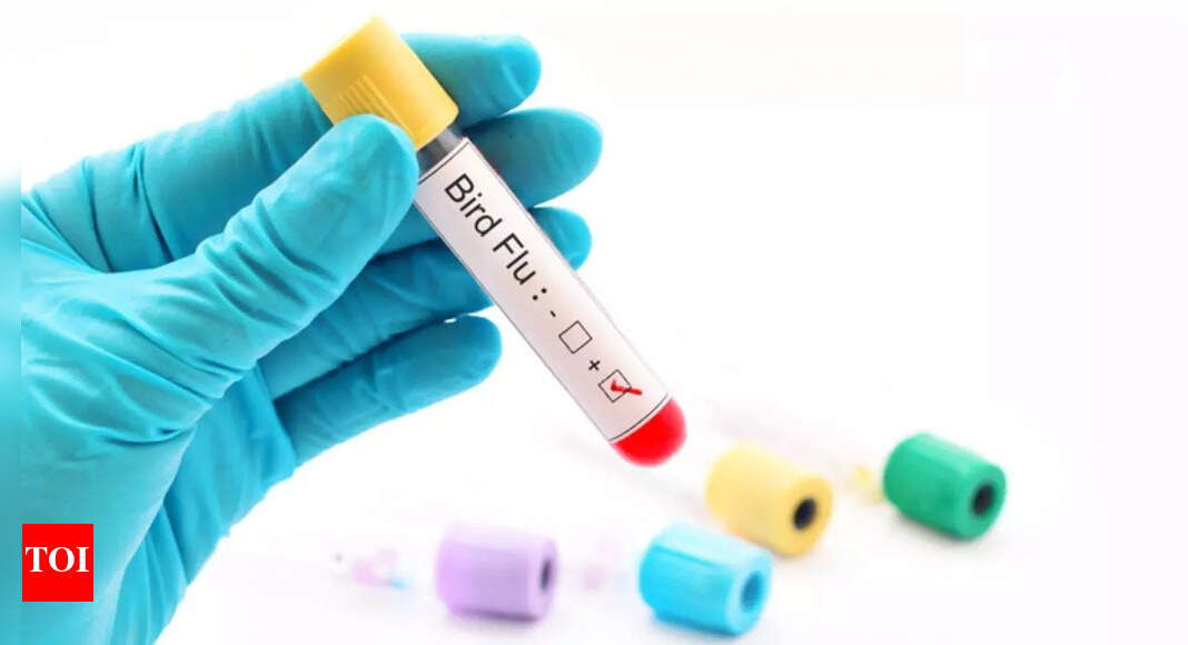 First positive bird flu case with no known animal exposure; symptoms ...
