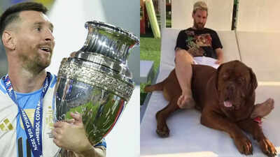 How much does Lionel Messi's dog 'Hulk' cost? | Football News - The ...