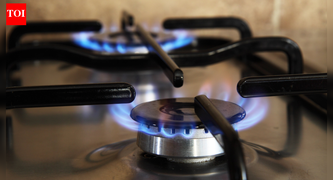 Best 2 Burner Gas Stoves For Your Kitchen - The Times Reviews