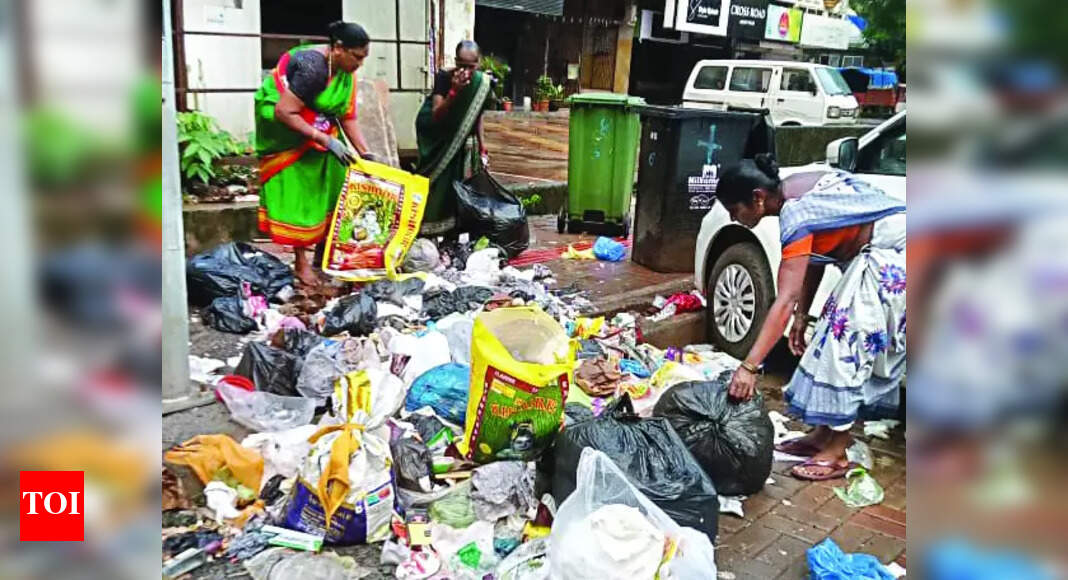 Garbage menace still a concern for CCP as black spots abound | Goa News ...