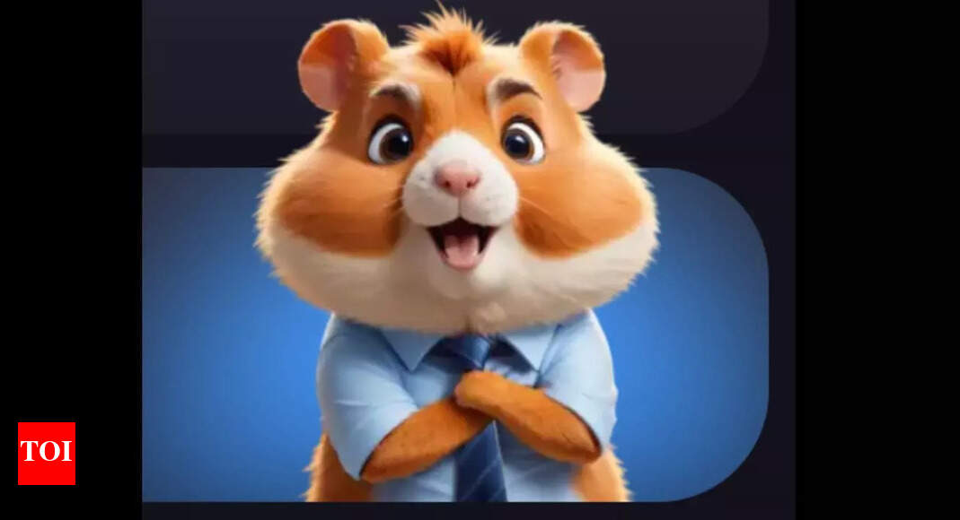 Hamster Kombat Daily Cipher Codes and Combo Cards for September 11 ...