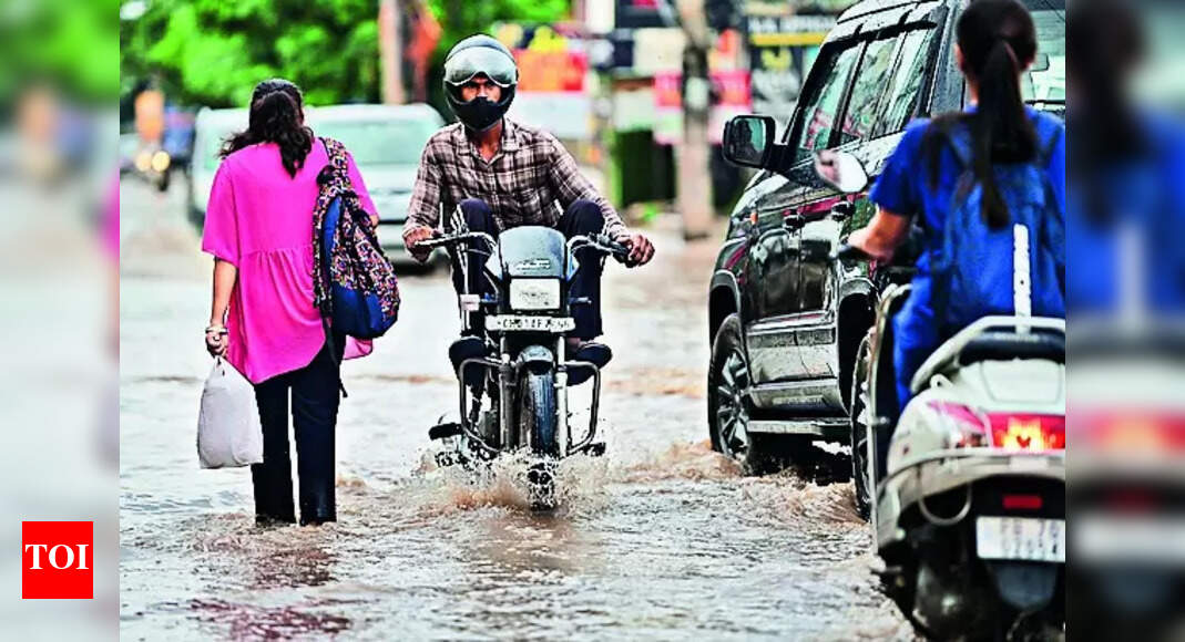 Expect Light Rain For 2 Days, Says Weather Dept | Chandigarh News ...