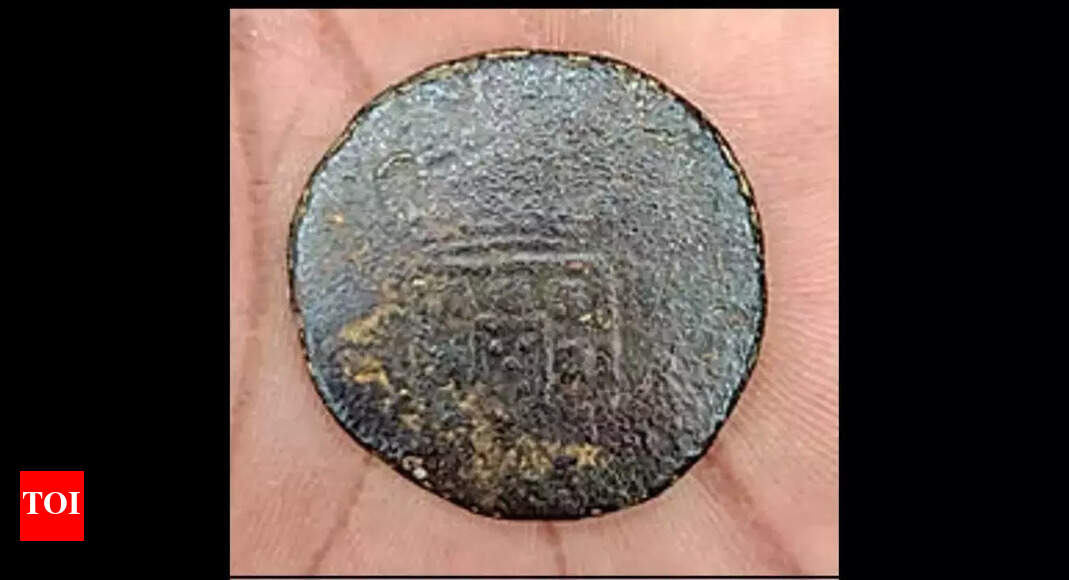 In the jungles of Goa's Sattari taluka, a remnant of King Miguel’s ...