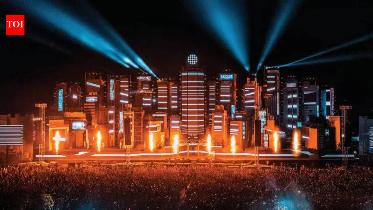 Party problem: An EDM festival that’s no longer music to the ears | Goa ...