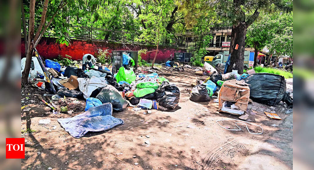 Unsegregated Garbage A Challenge For Ut Mc | Chandigarh News - Times of ...