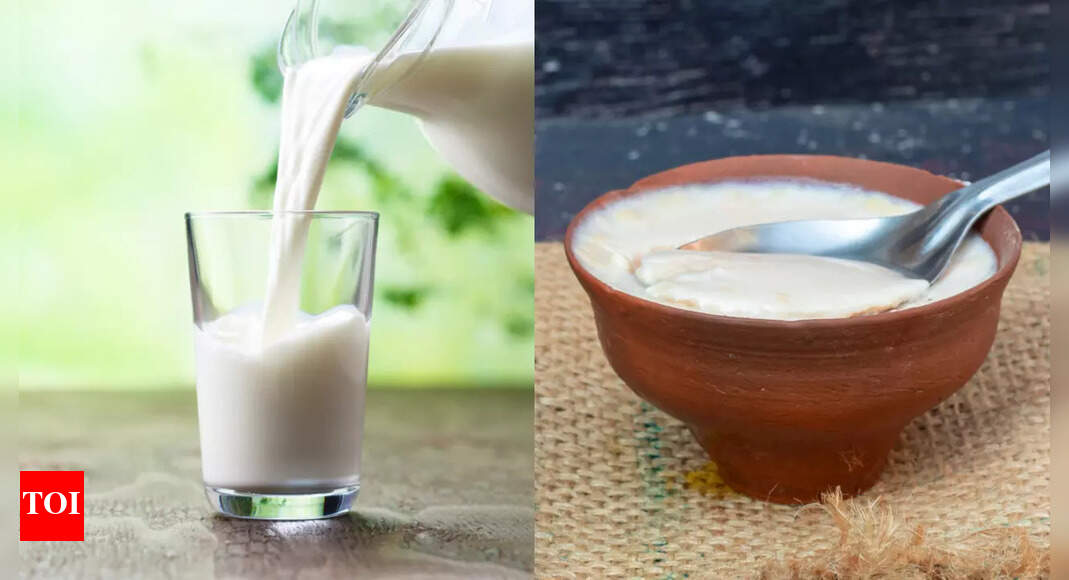 Milk VS. Curd Benefits: Which one is healthier | - Times of India