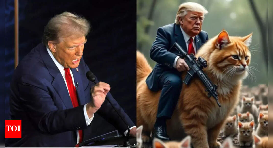Trump’s debunked pet-eating claim about Springfield Ohio goes viral and ...