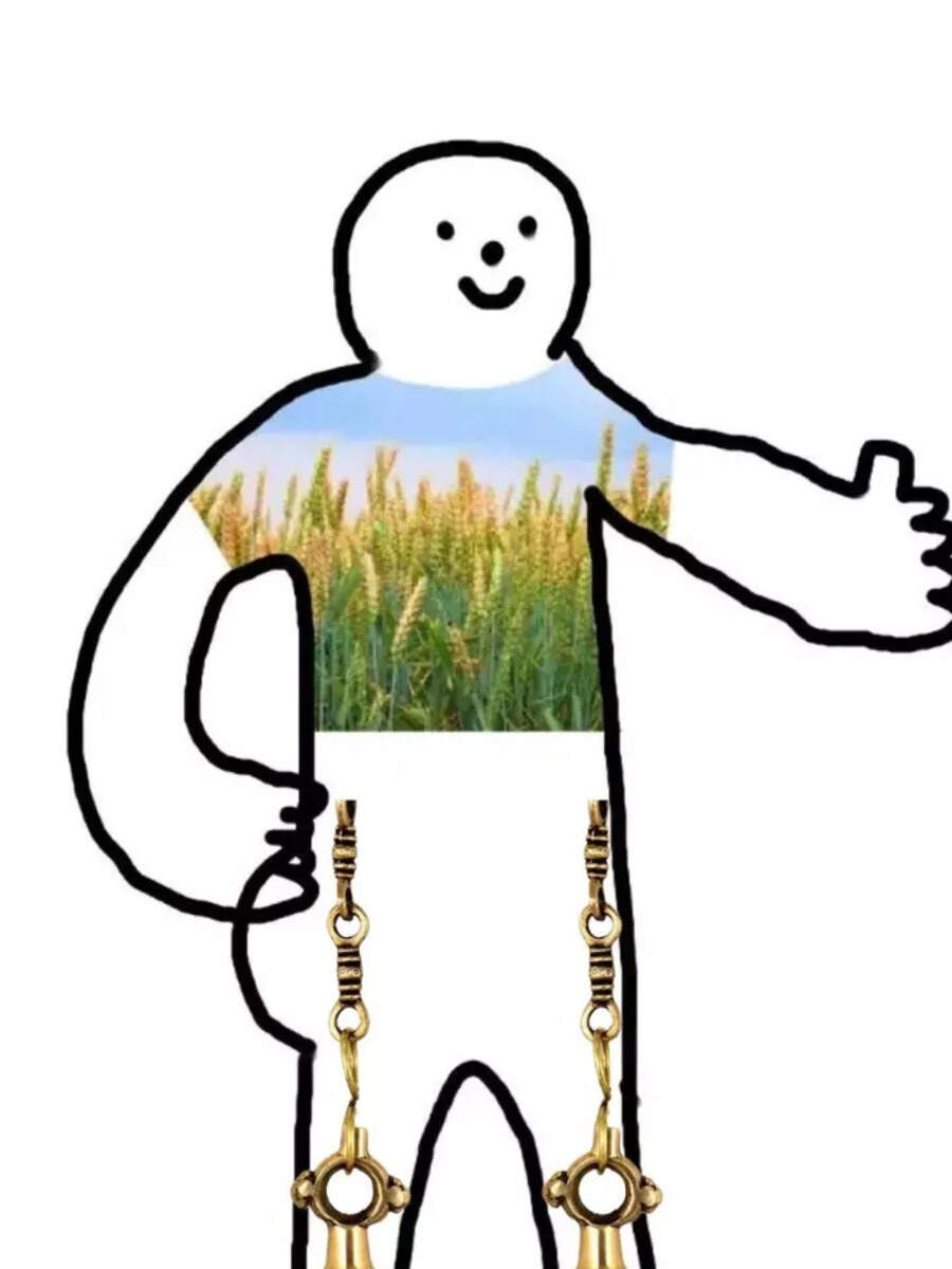 Remember the Crop Top Meme? It Is Now a Template for Literalisations ...