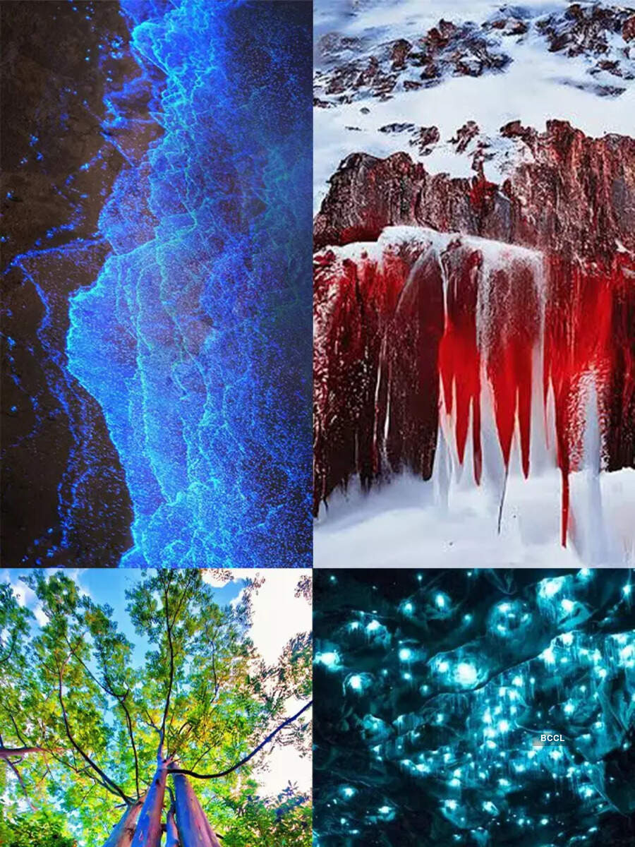 Top 10 strangest things on Earth | Times of India