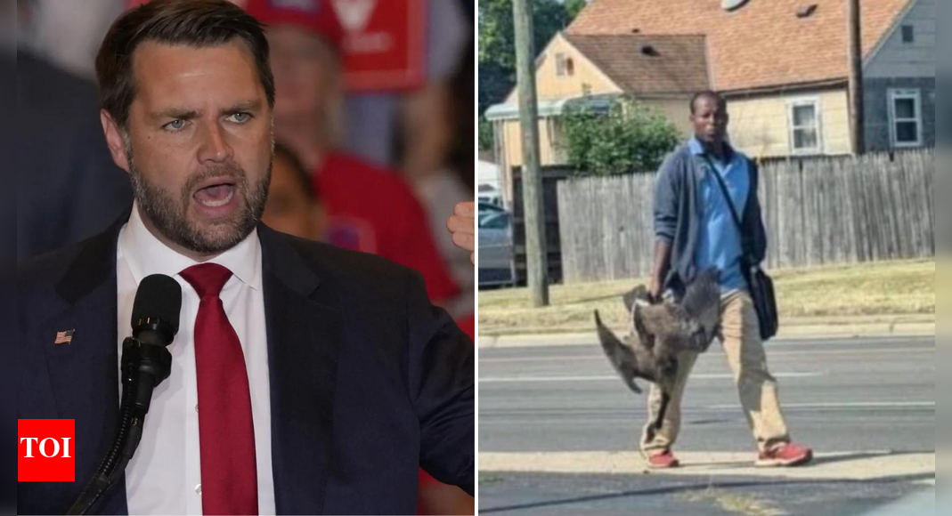 'We're creating stories': JD Vance double downs on 'Haitian eating pets ...