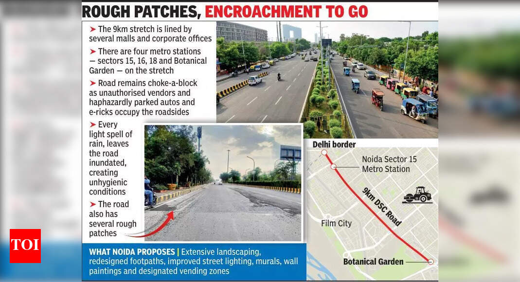 DSC Road Transformation: New Footpaths and Enhanced Infrastructure ...