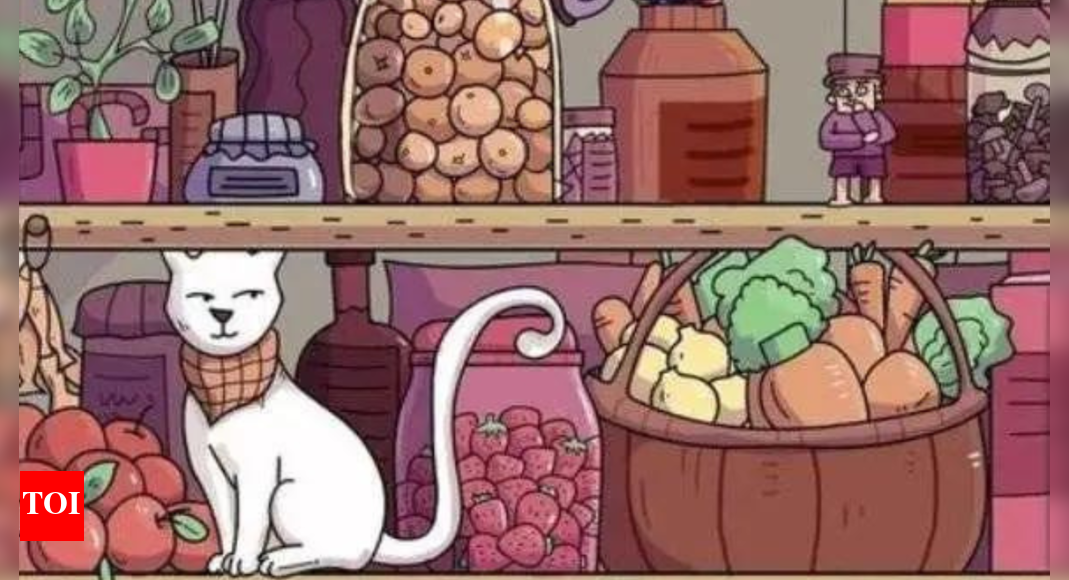 Optical illusion: Only a true cat lover can spot the hidden hammer in 7 ...