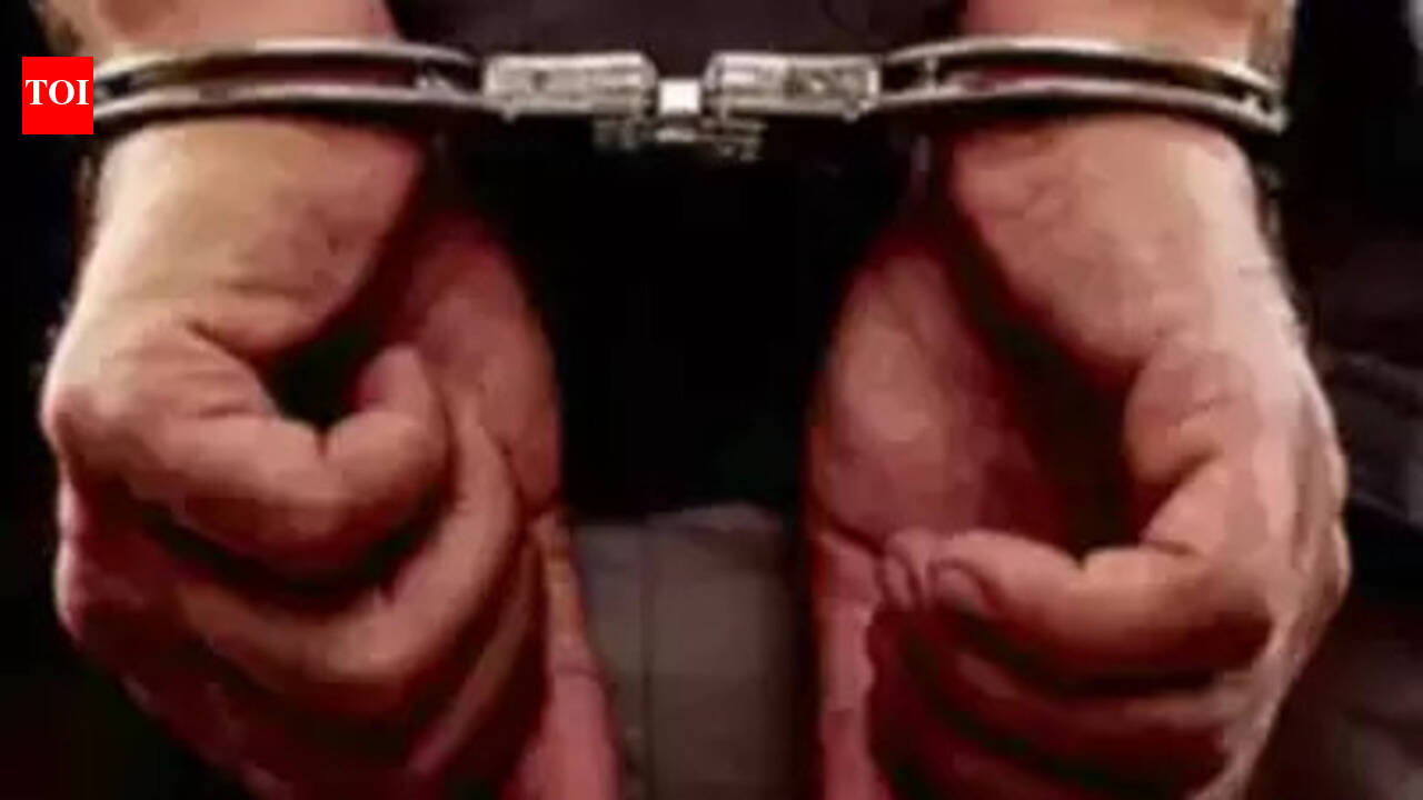 Noida Dm Office Staffer Held For ‘pappu’ Post On X | Noida News - The ...