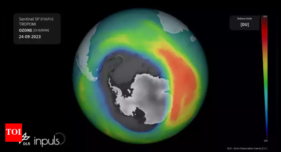 How important is the ozone layer? - Times of India