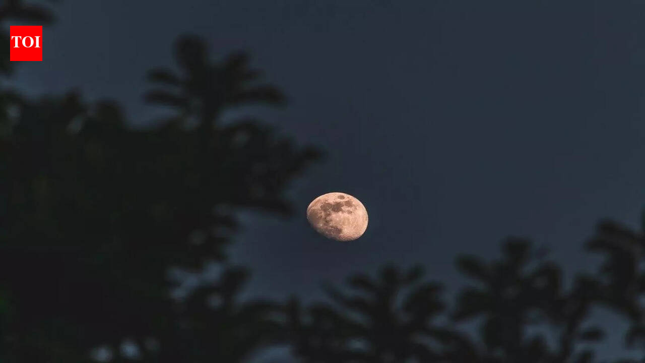 Harvest Full Moon 2024 Affirmations For Each Zodiac Sign