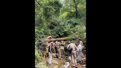 Almora: Tragic Death of Teacher Swept Away in Almora Stream: Body Found After Four Days ...