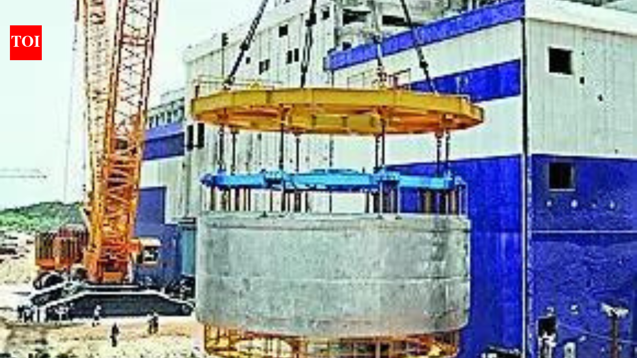 Indigenous fast breeder reactor set to become critical: AEC chief ...