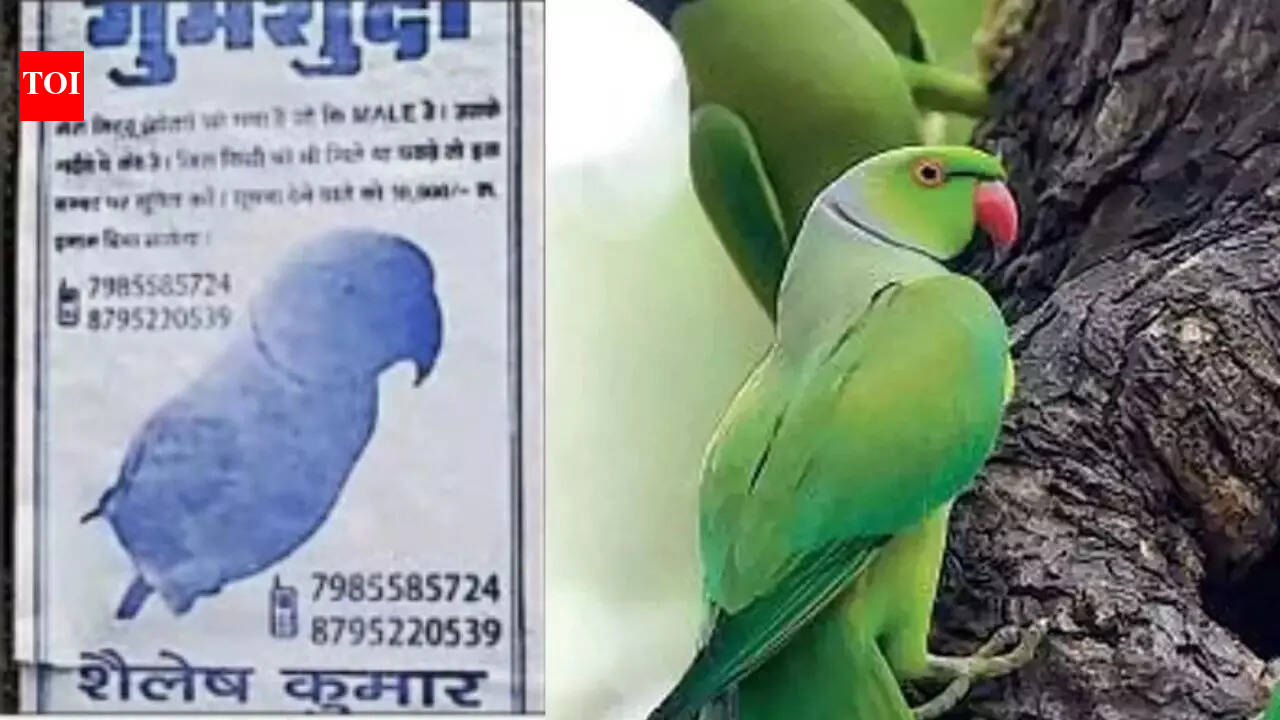 'Well trained and intelligent ...': UP man declares Rs 10,000 reward ...
