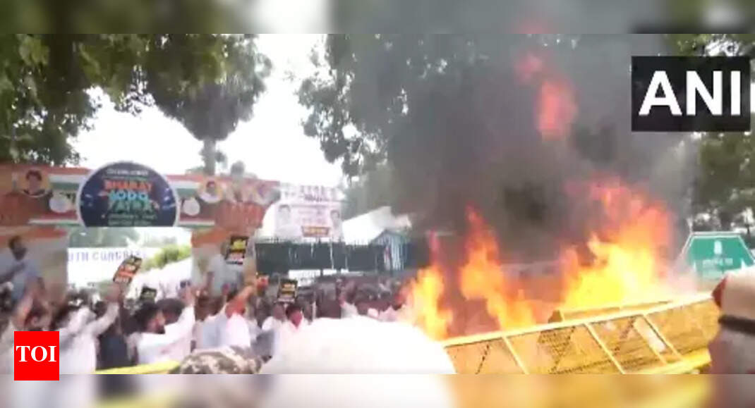 Rahul Gandhi 'terrorist' remark: Congress holds massive protest in ...