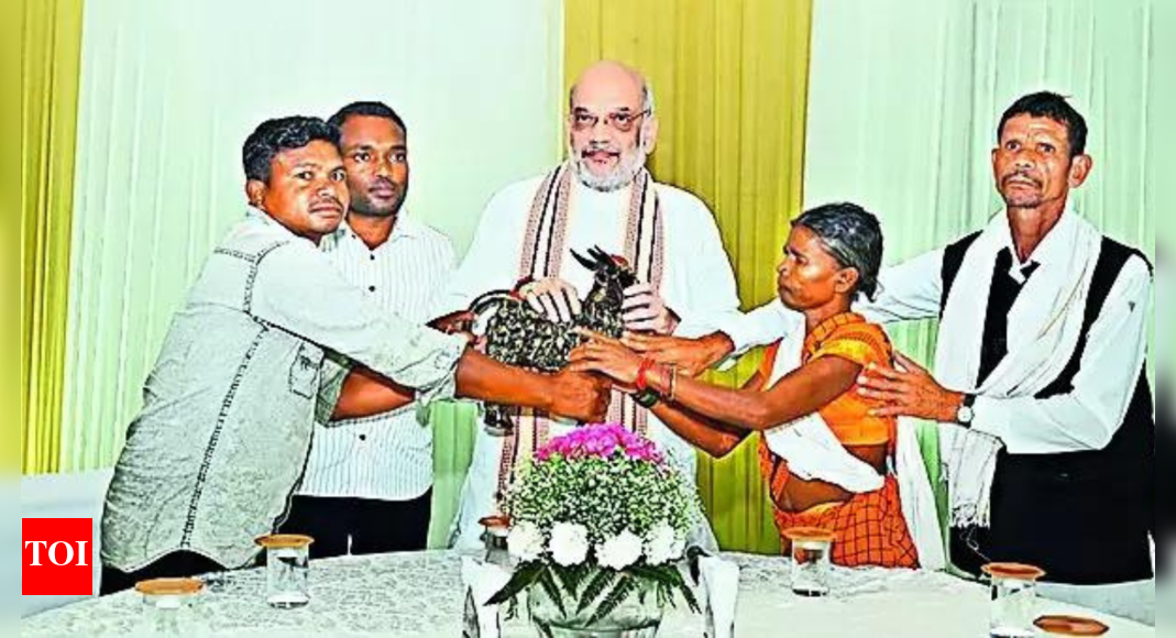 Victims of Bastar violence seek freedom from Maoist menace | India News ...