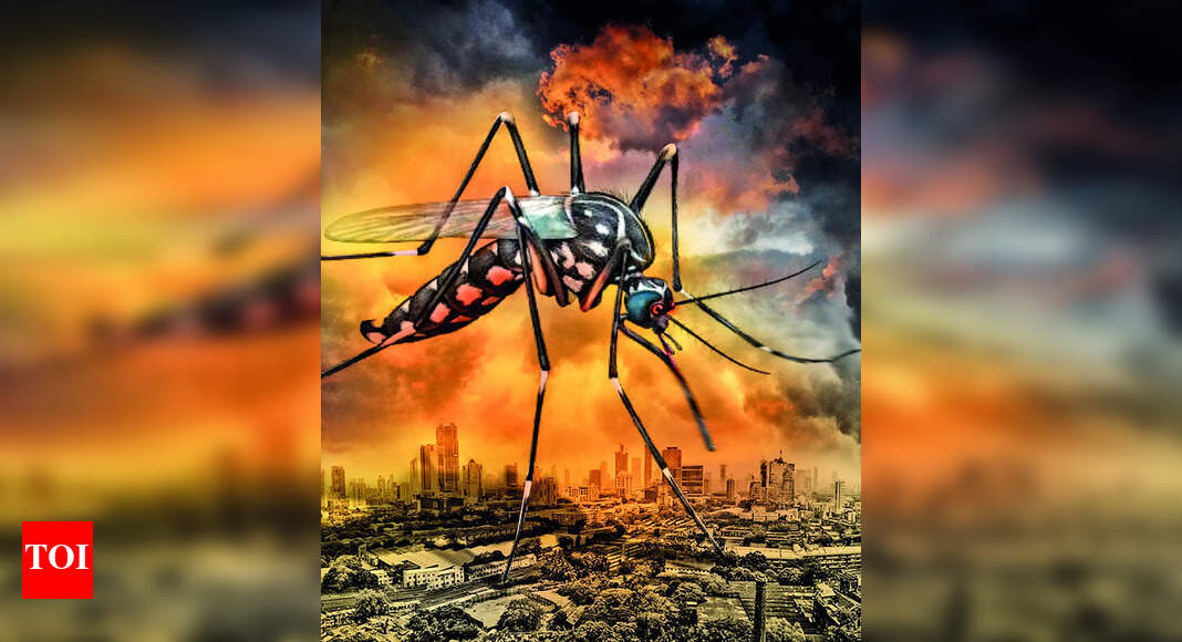 Dengue: Public-private Collab Can Combat Dengue, Chikungunya: Nmc ...