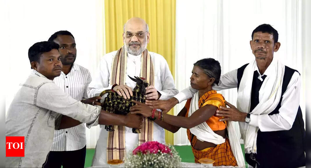 'Our voice needs to be heard too': Bastar IED victims on Delhi tour ...