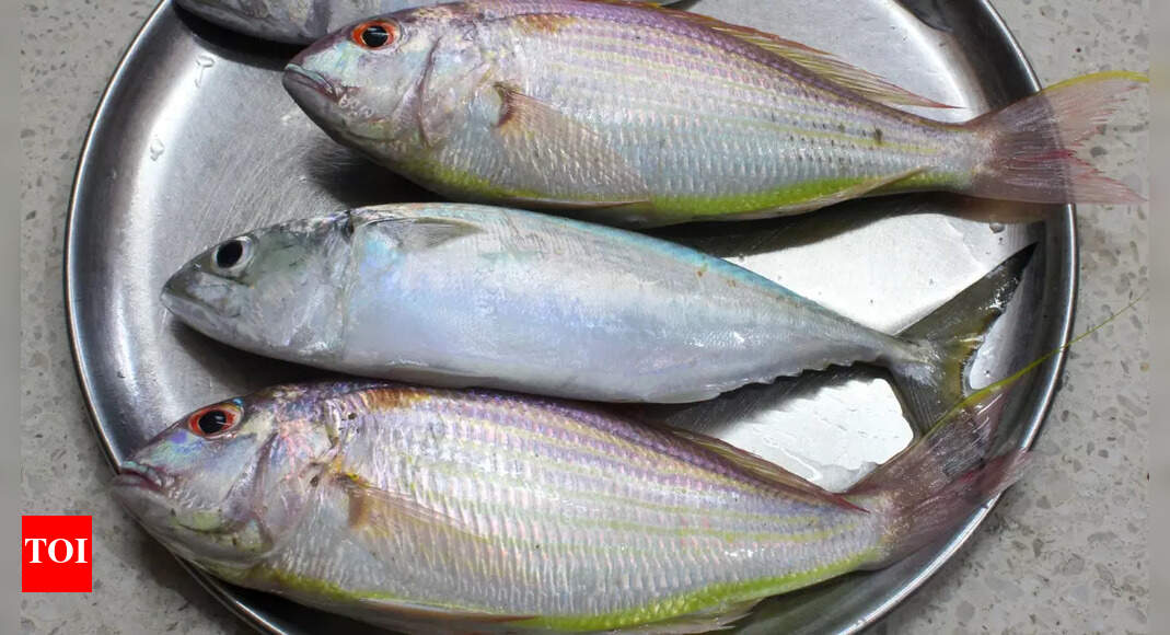 Bihar Chaos: Crowd Loots Fish After Nitish Kumar's Event | - Times of India