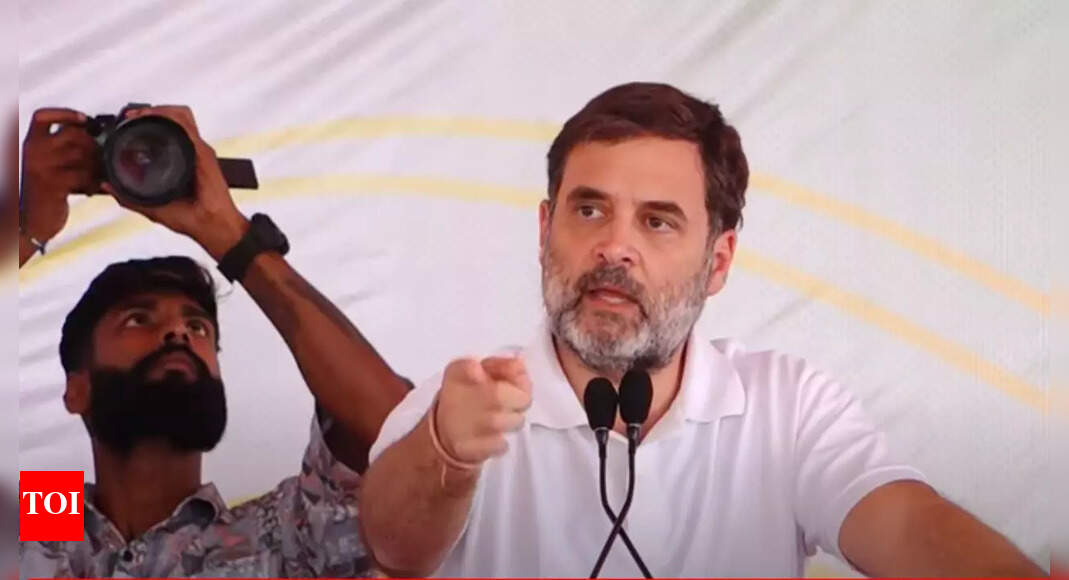 Haryana and J&K Assembly Elections: Rahul Gandhi addresses poll rally in Srinagar - The Times of ...