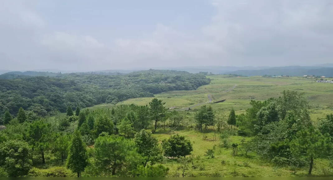 Mawphlang Sacred Grove, Meghalaya: You can’t take anything away from ...