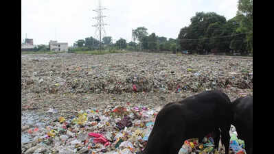 Rudrapur: Rudrapur Struggles With Waste Mgmt Crisis Despite Clean City ...