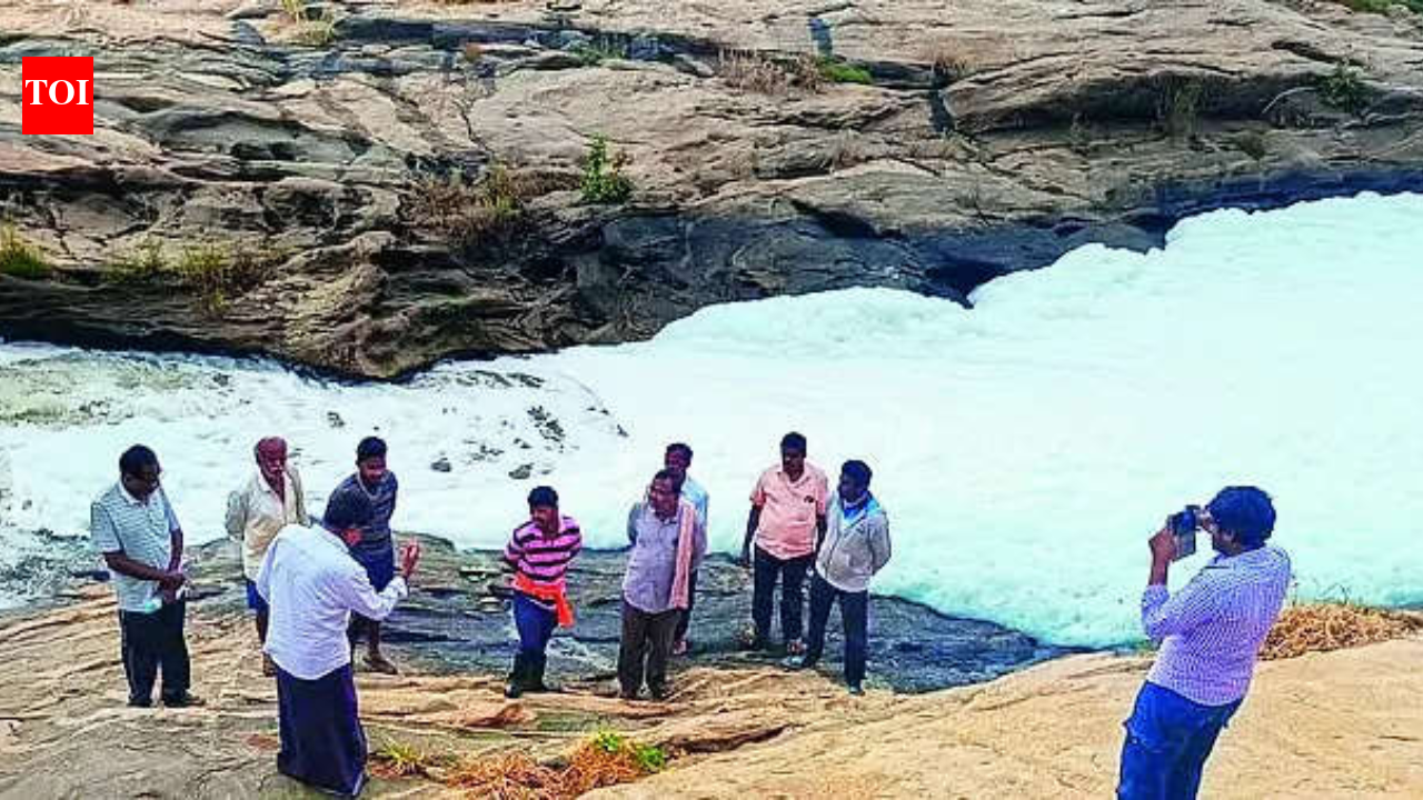 Arkavathi River Froths, Sends Alarm Bell Ringing | Bengaluru News - The ...