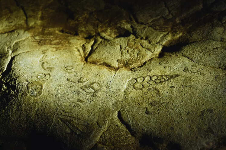 From glow-in the-dark to massive caverns: 8 most unique caves that ...